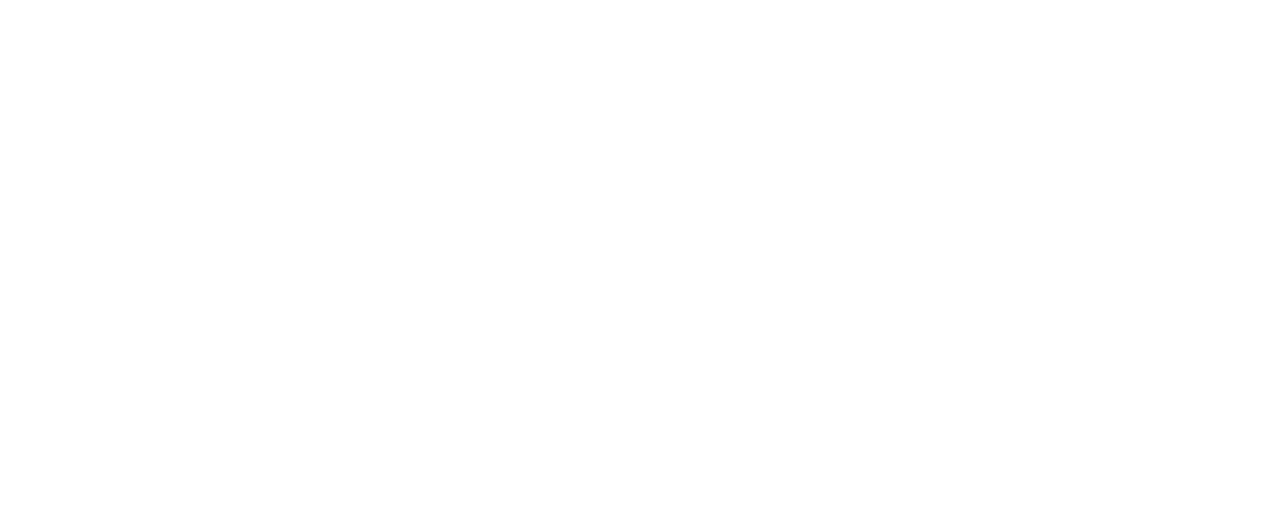 THORChain Network Explorer